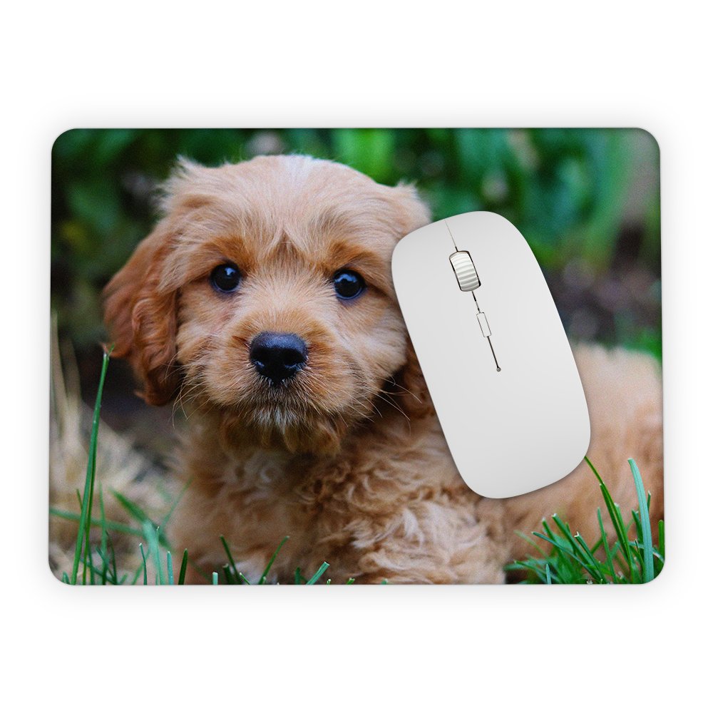 Muismat met foto » Nú voordelig op Fotoproducten.nl!